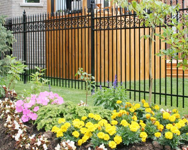 Residential Fence | Nuvo Iron