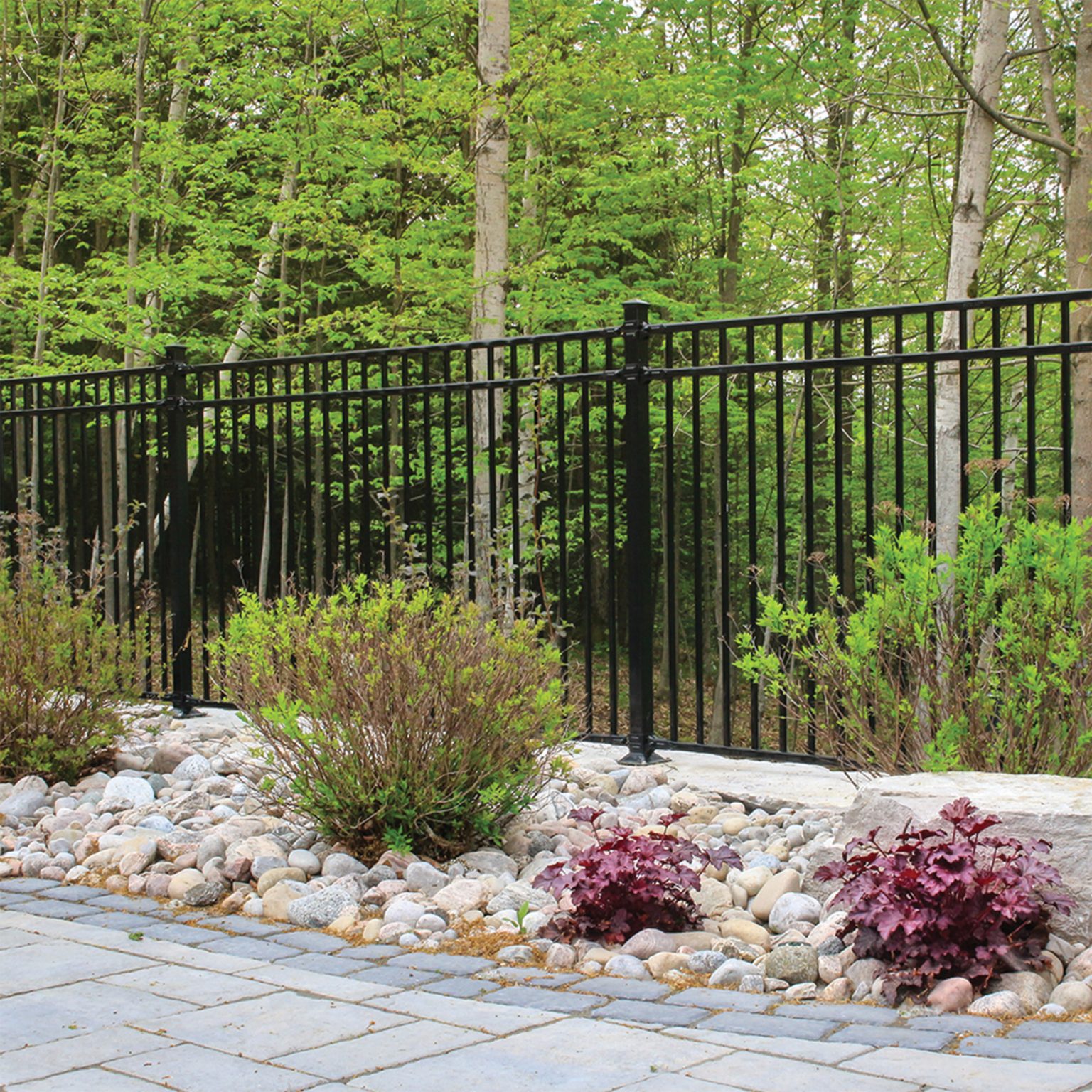 Legacy Coral Iron Fence Panel | 72" Wide x 60" High | Nuvo Iron